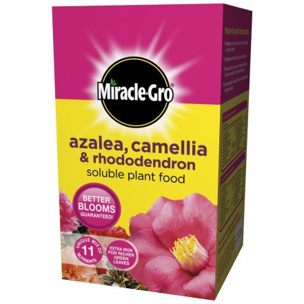 Miracle-Gro Azalea, Camellia & Rhododendron Soluble Plant Food